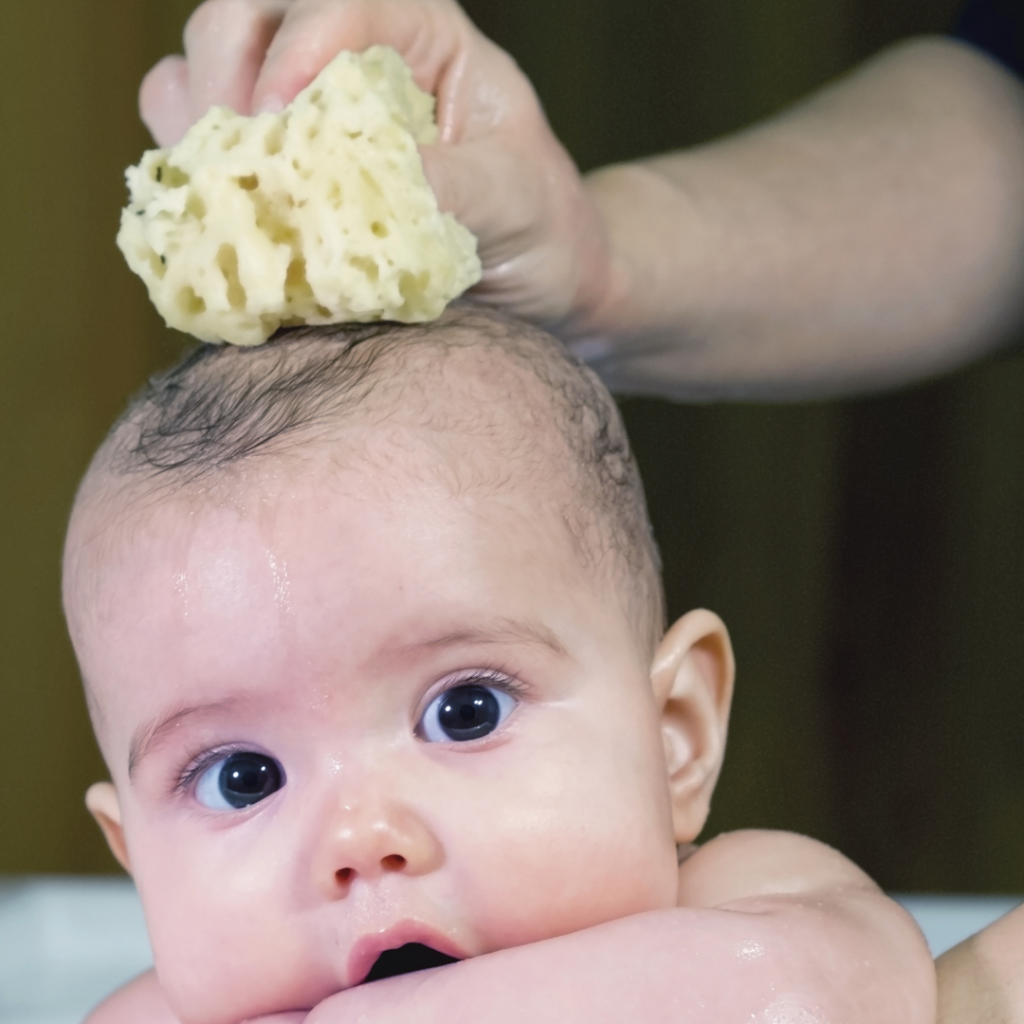 Why Natural Sea Sponges Are the Best Choice for Baby Bathing - Ellie-Fant